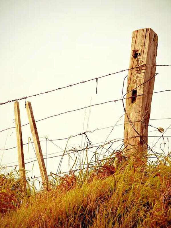 Rust のための AtCoder 環境構築( cargo-compete 導入編 パターン2 )