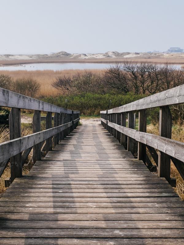 MagicodeでHello Worldしてみる